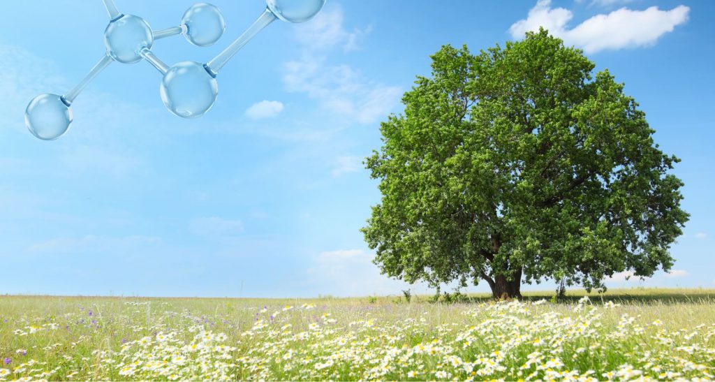 Epinity - AGC Vinythai