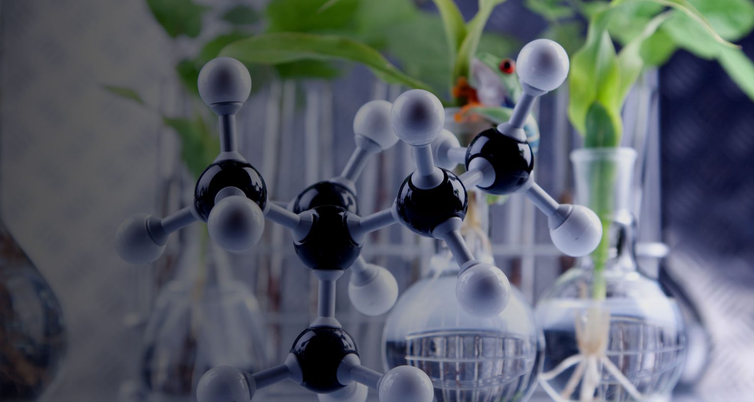 Epinity - AGC Vinythai